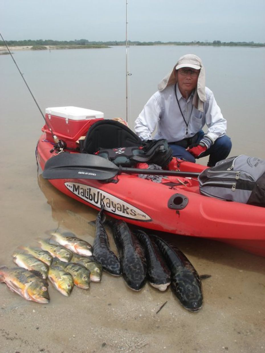 Flooded plains of joy: Perak's Air Kuning is wetland adventure heaven ...