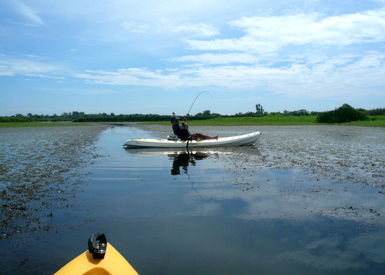 Flooded plains of joy: Perak's Air Kuning is wetland adventure heaven ...