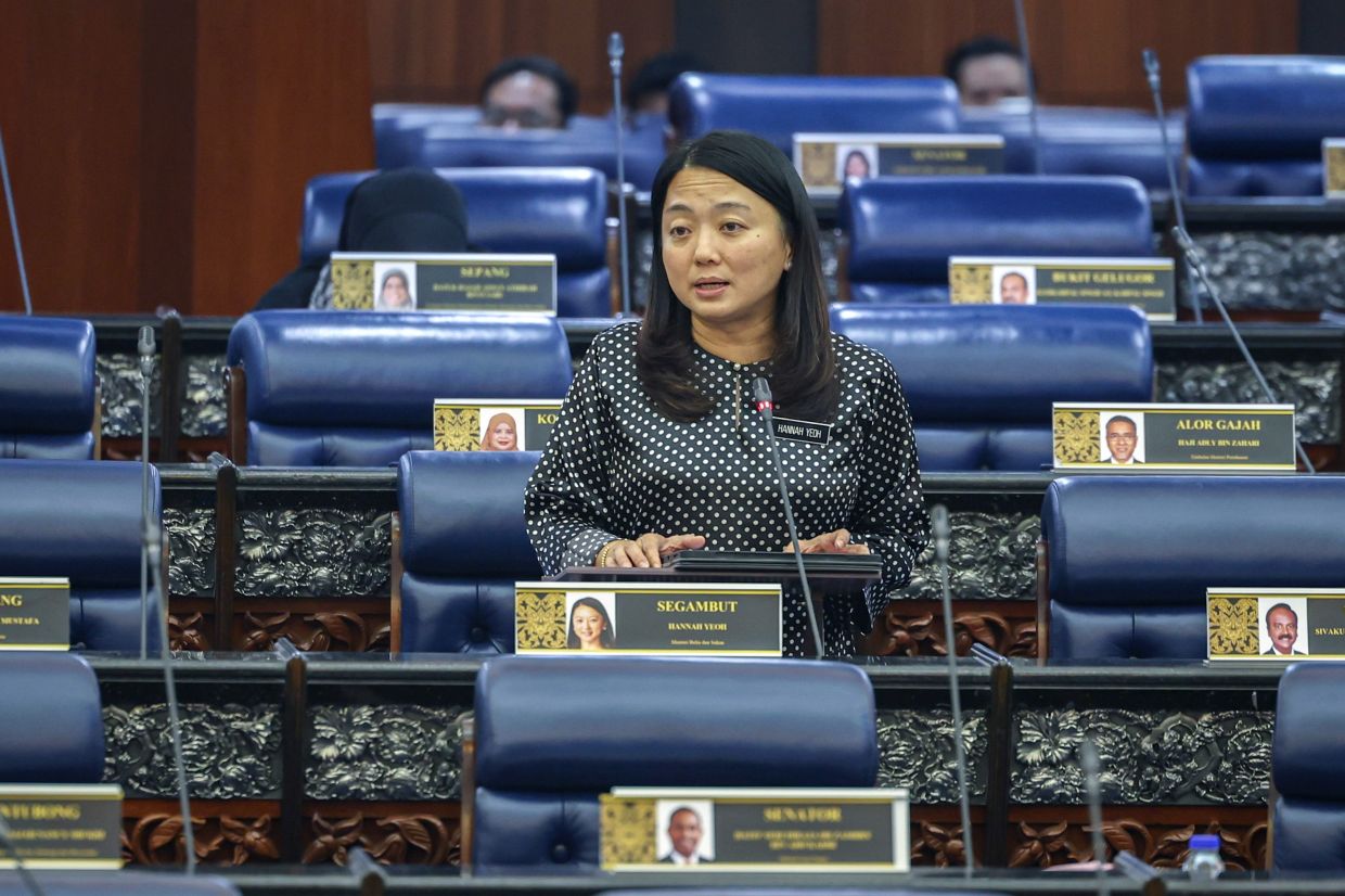 Youth Age Limit To Be Lowered To 30 By Jan 1 2026 The Star