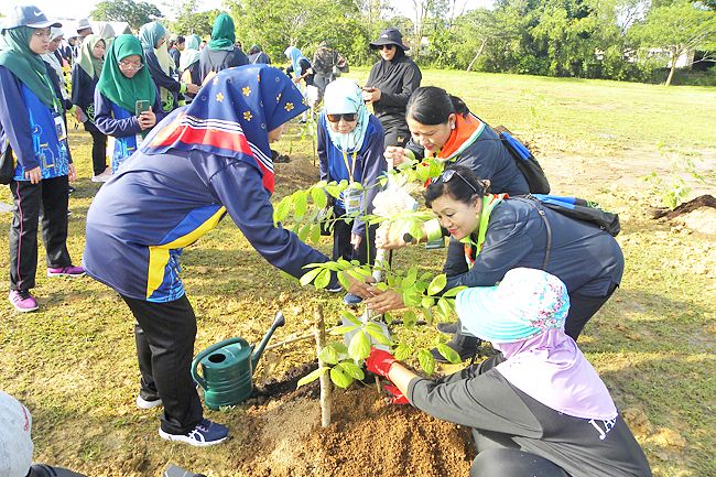 Brunei taking major steps towards greener future | The Star