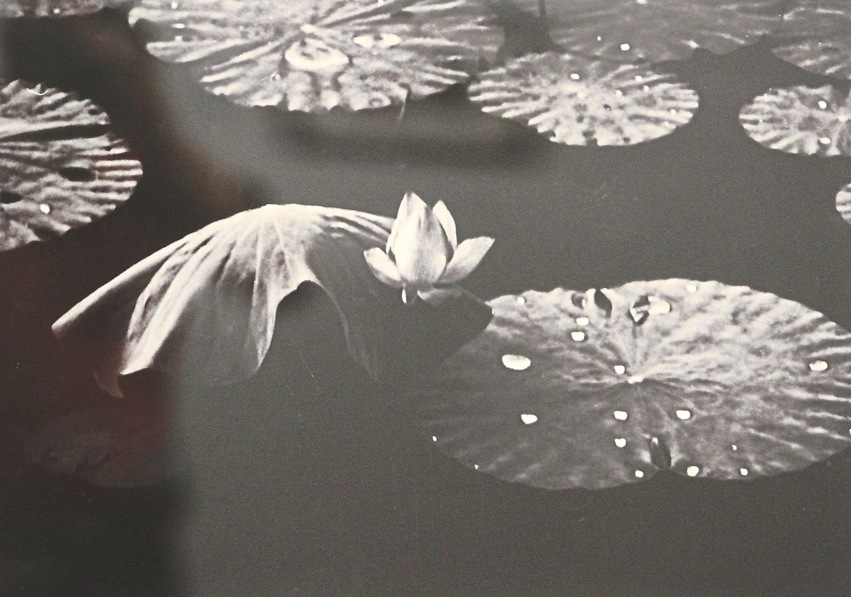 Eric Peris archival exhibition in KL captures the magic of painting ...