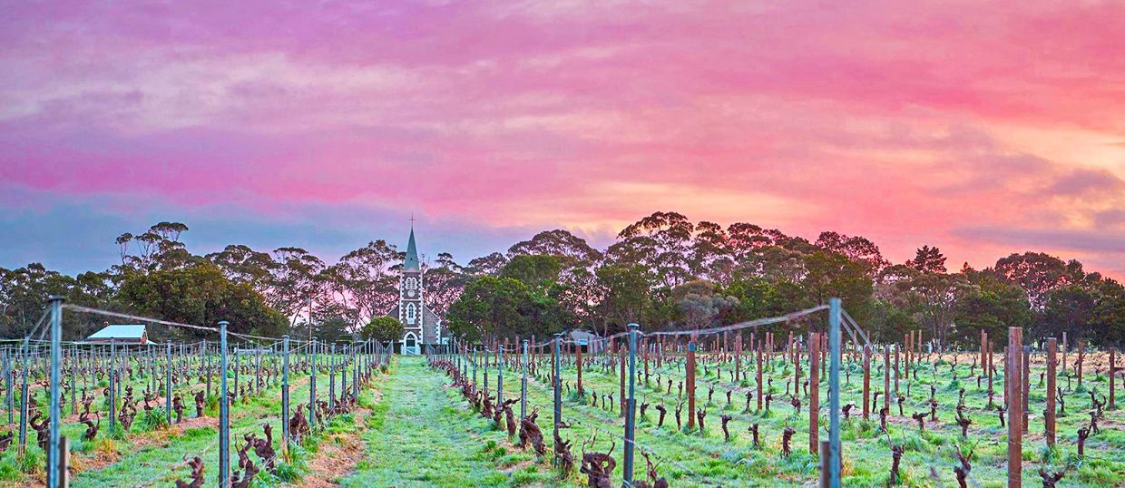 Vine times for travellers | The Star