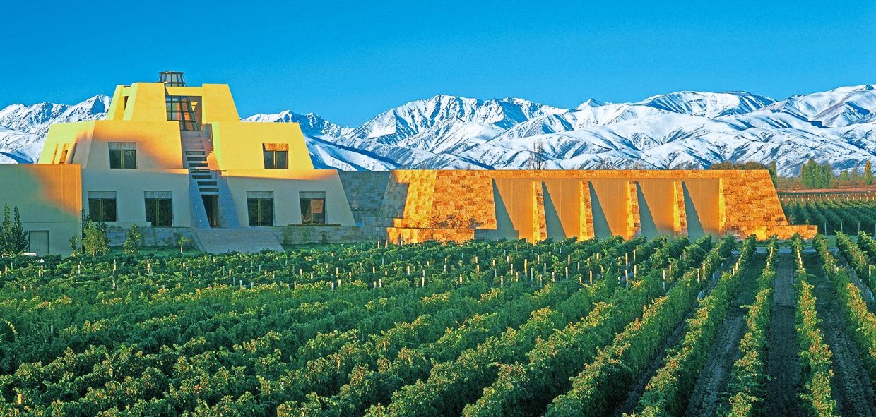 Vine times for travellers | The Star