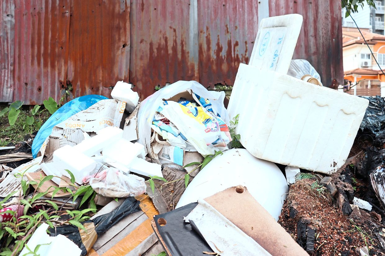 Calls for sustainable plan on rubbish woe | The Star