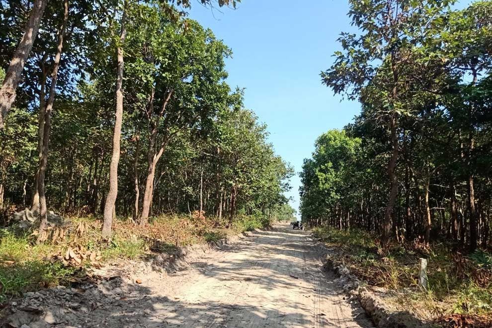 Sanctuary decries ‘fake’ forest clearance claims by foreign media | The ...