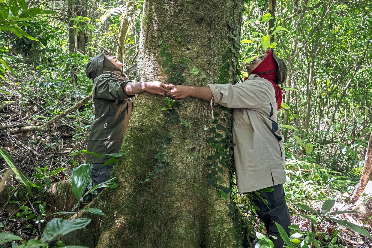 The women who protect the forest | The Star