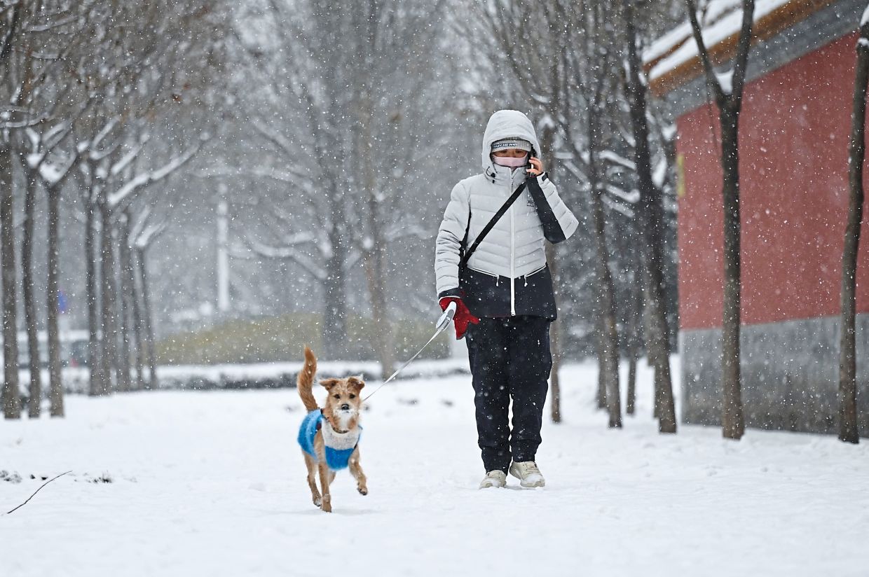 Cold wave brings unusual frigid temperatures | The Star