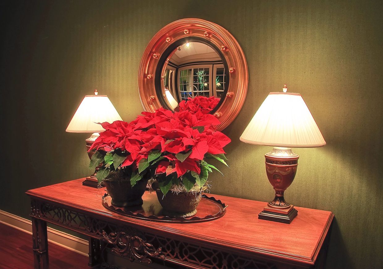 7 creative ways to display poinsettias during the holiday season | The Star