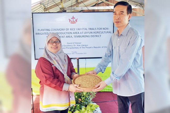 New study on rice variety launched | The Star