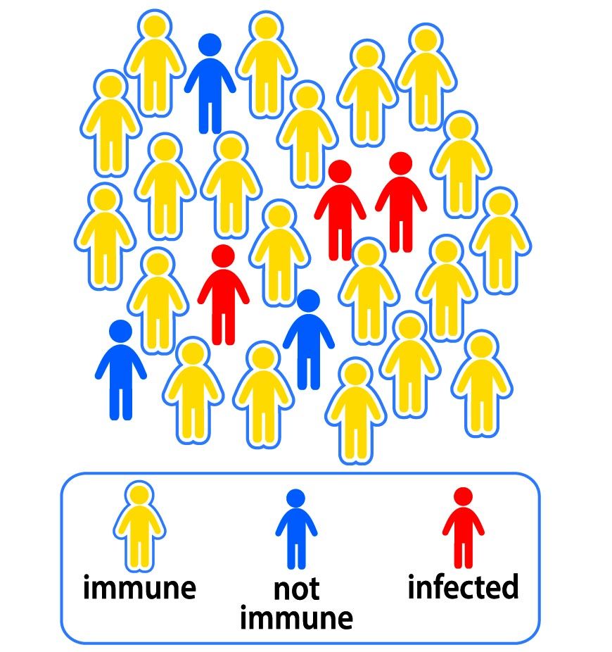 Protecting yourself and your community through herd immunity | The Star