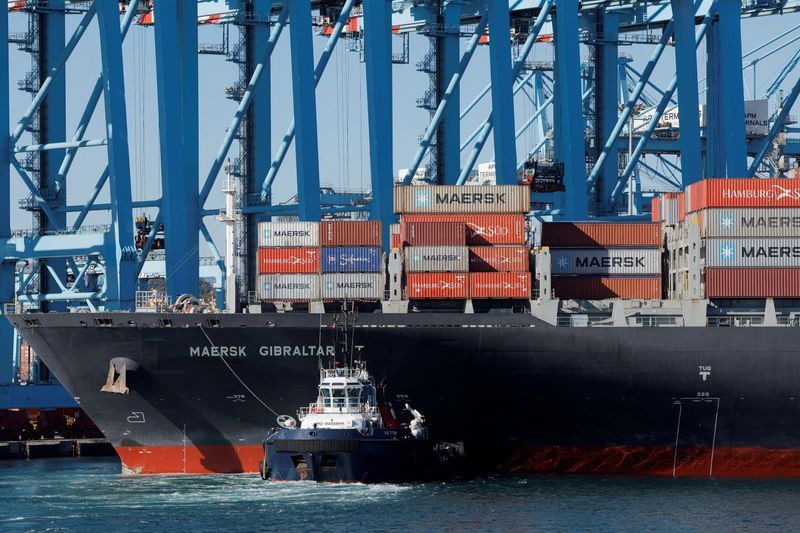 Maersk to pause all container shipments through the Red Sea | The Star