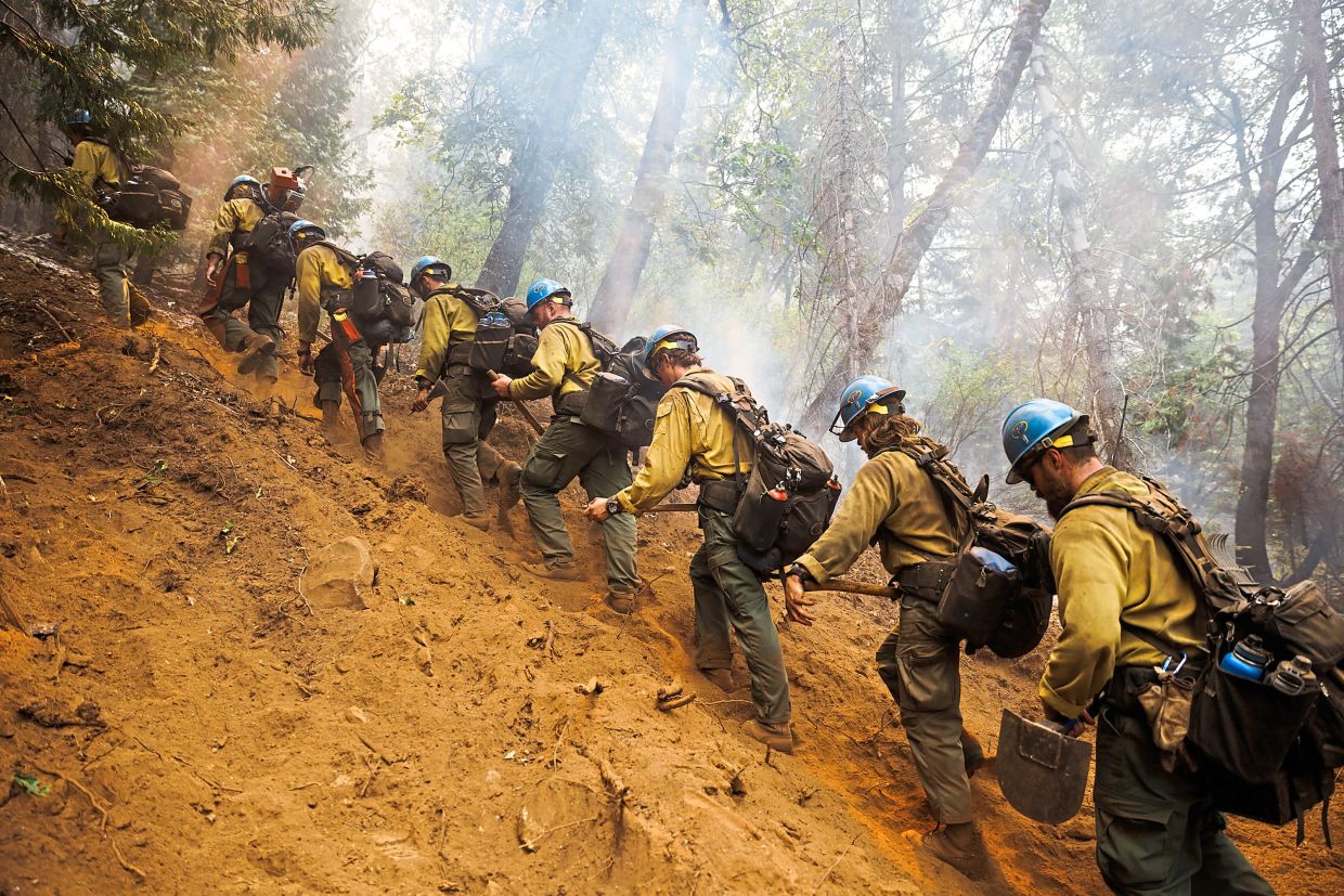 The hotshots fighting wildfires | The Star