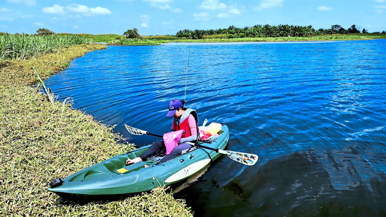 Pets released into the wild may be invasive species that cause ...