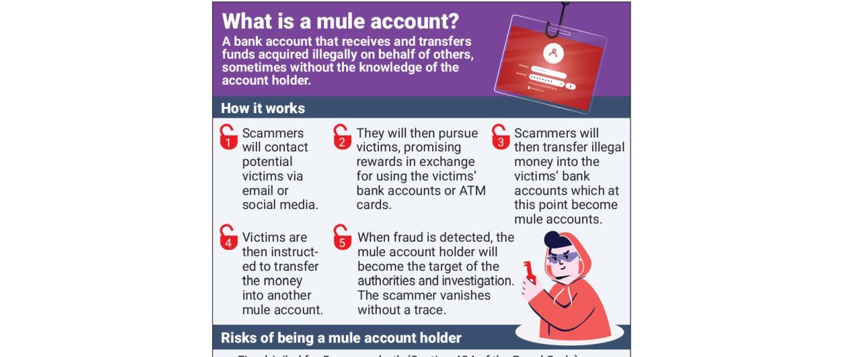 Mule account holders actually taken for a ride | The Star
