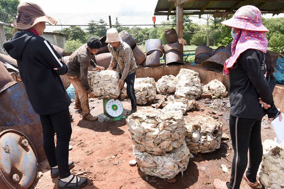 Cambodia set to continue export duty incentives in rubber sector | The Star