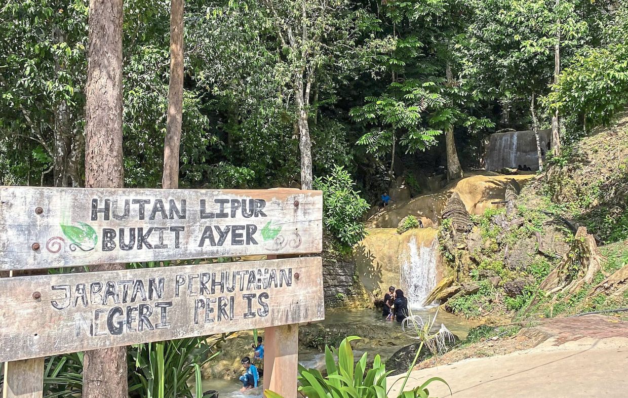 Nature at its best in Perlis eco geosite | The Star