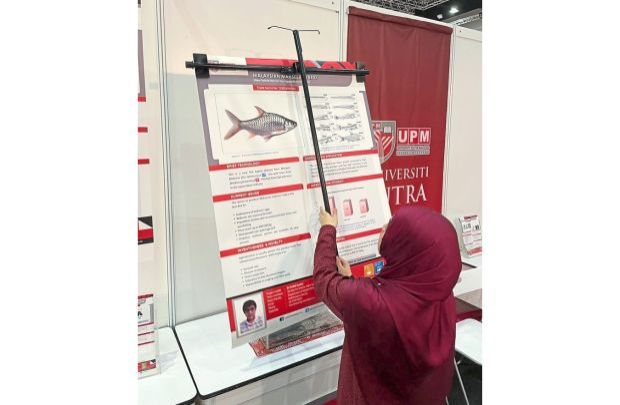 UPM wins top award for tool to hang posters | The Star