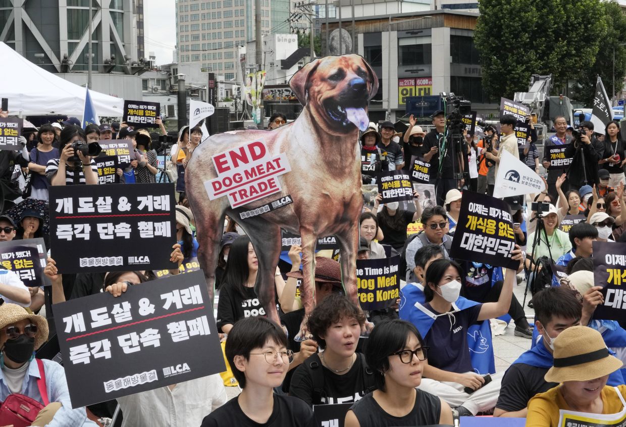 S. Korea parliament passes bill to ban dog meat trade | The Star