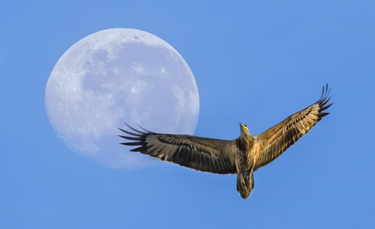 How to get perfect photos of the moon | The Star