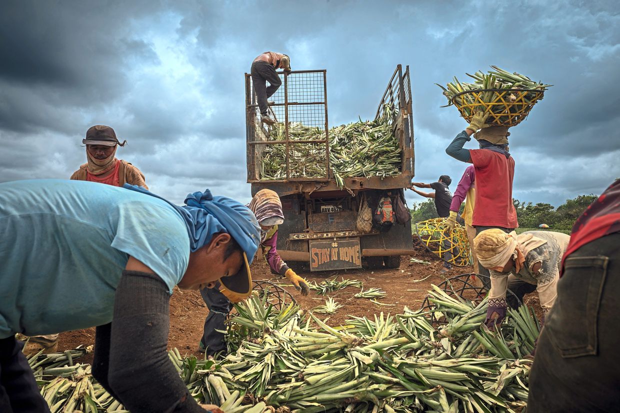 ‘There’s no other job’ | The Star