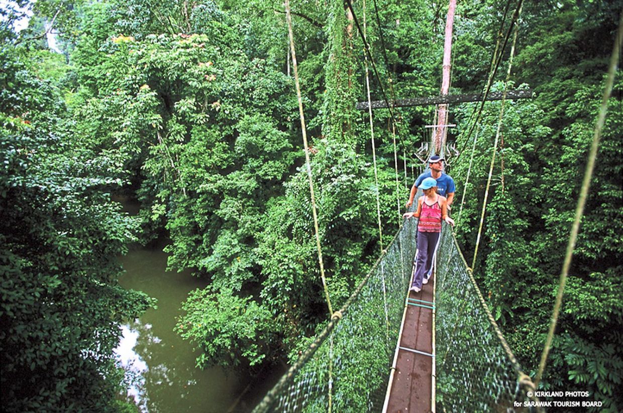 8 canopy walks in Malaysia that are perfect for any adventurous soul ...