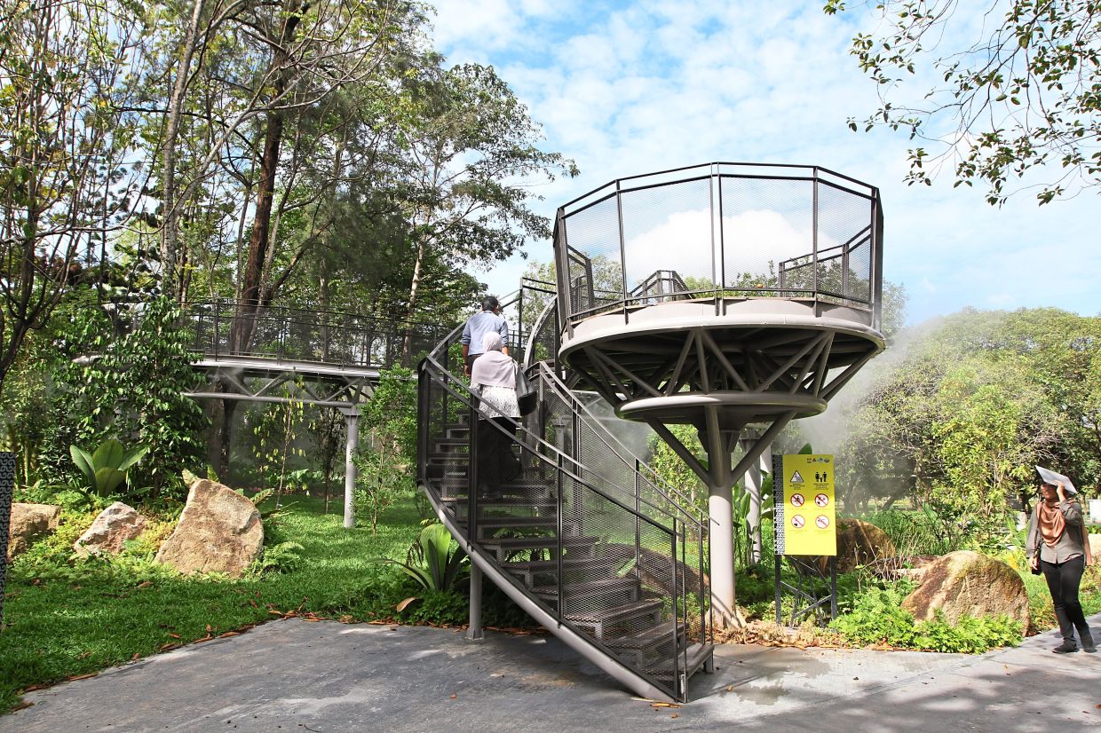 8 canopy walks in Malaysia that are perfect for any adventurous soul ...