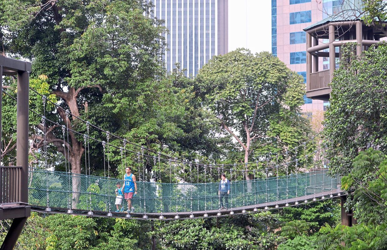 8 canopy walks in Malaysia that are perfect for any adventurous soul ...