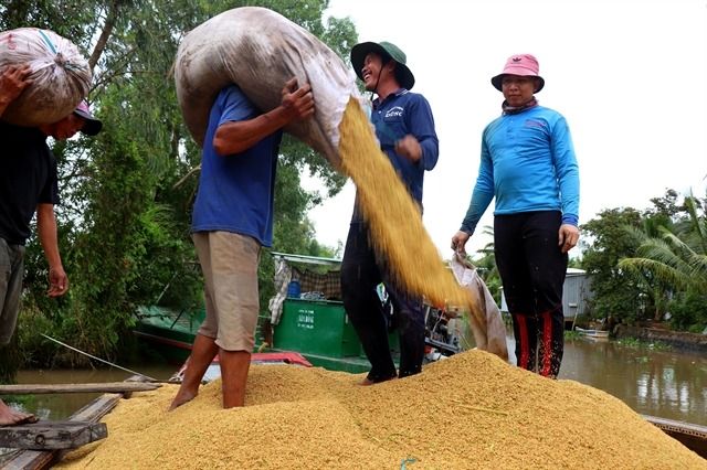 Vietnam rice exports to Jan 15 down 14.2% y/y at 194,000 tonnes | The Star