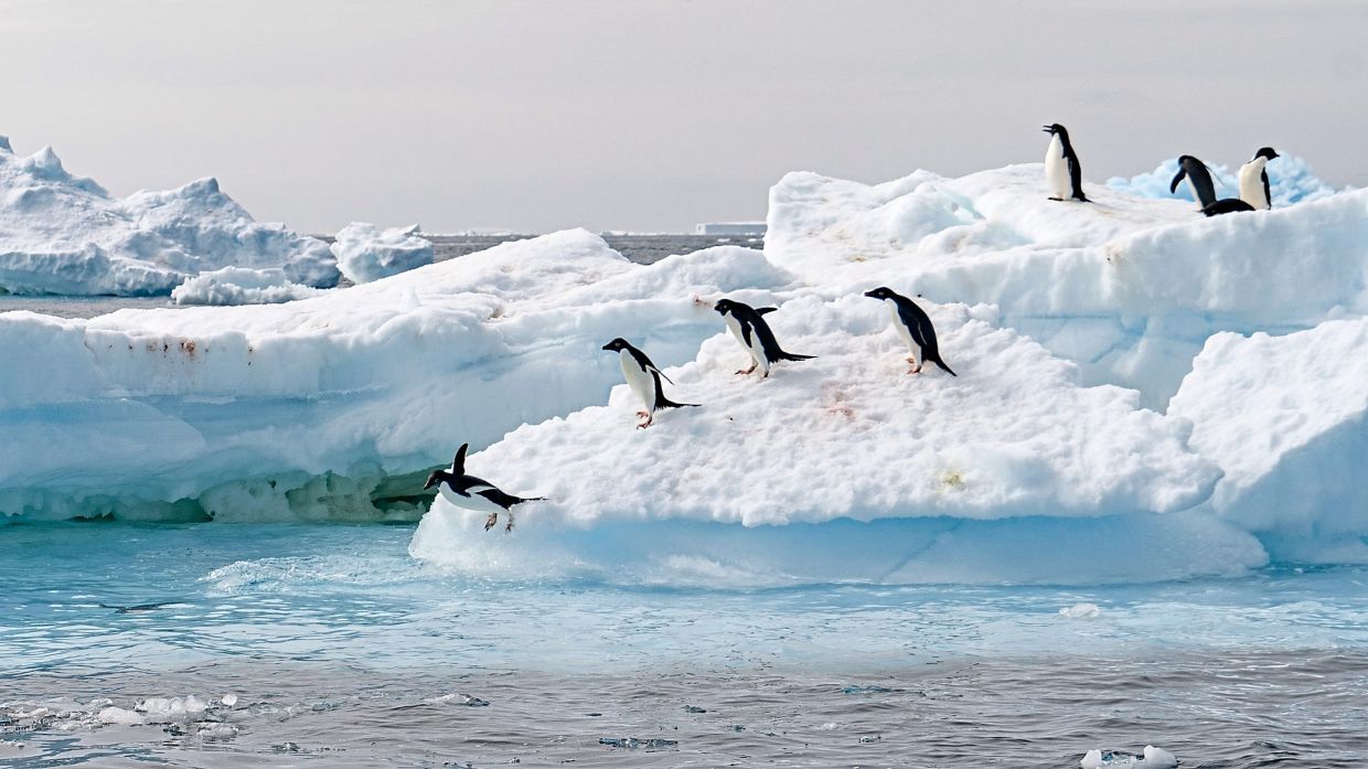 To visit the South Pole, head to the 'End Of The World' first | The Star
