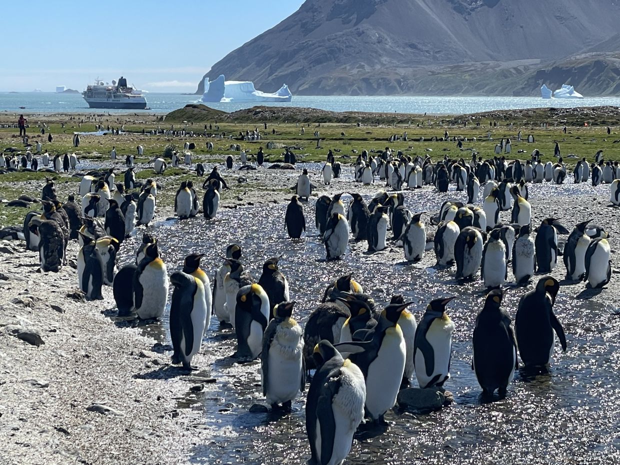 To visit the South Pole, head to the 'End Of The World' first | The Star