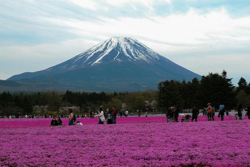 Mount Fuji hikers face RM63.50 toll to scale mountain from July | The Star