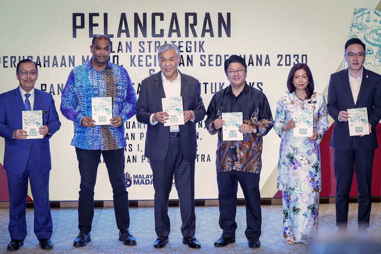 Council to be established to coordinate programmes for MSMEs, says Zahid | The Star