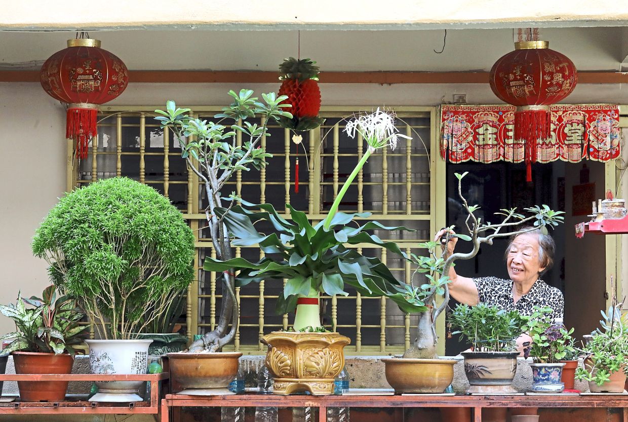 Inviting prosperity for CNY with auspicious plants | The Star