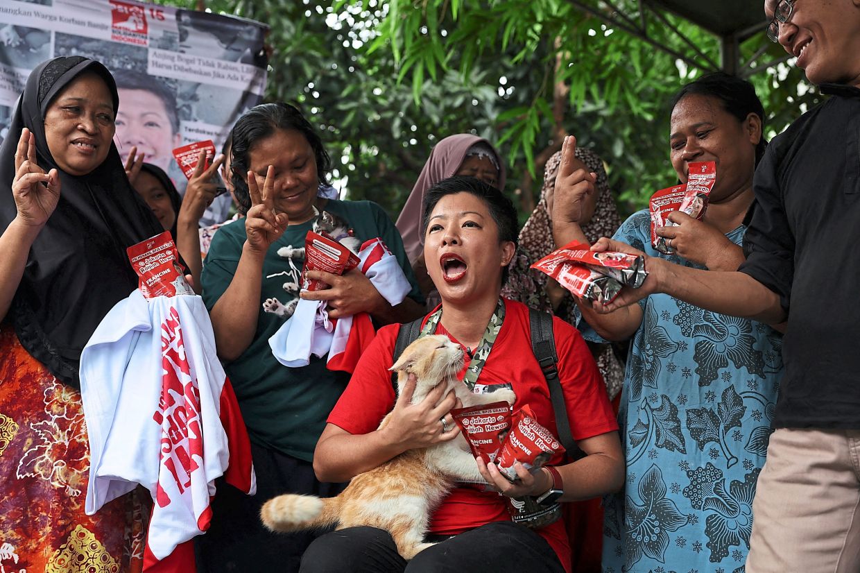 Cat lover campaigns for animal rights in elections | The Star