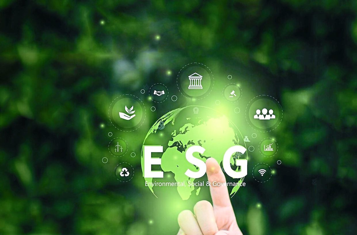 Getting insurance industry ready for ESG | The Star