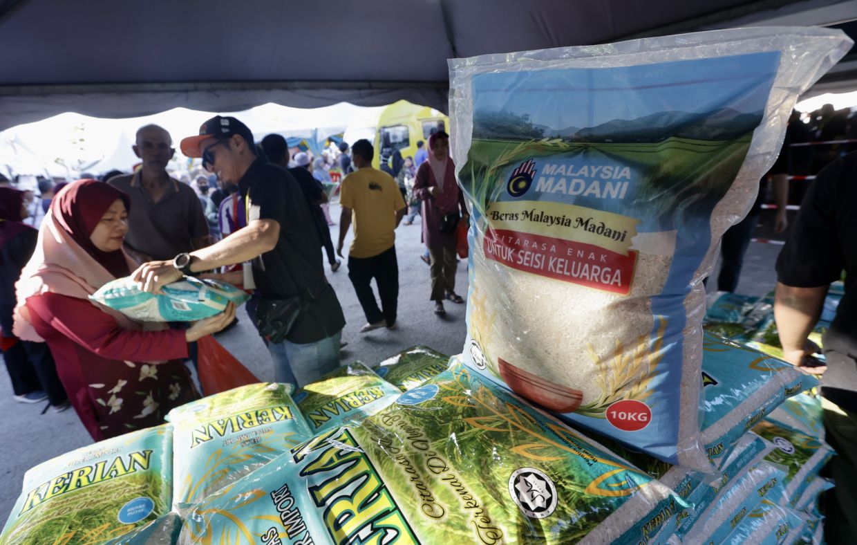 Making Madani rice a reality | The Star