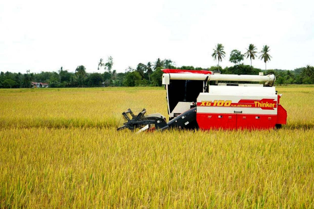 Finding right balance for rice prices | The Star