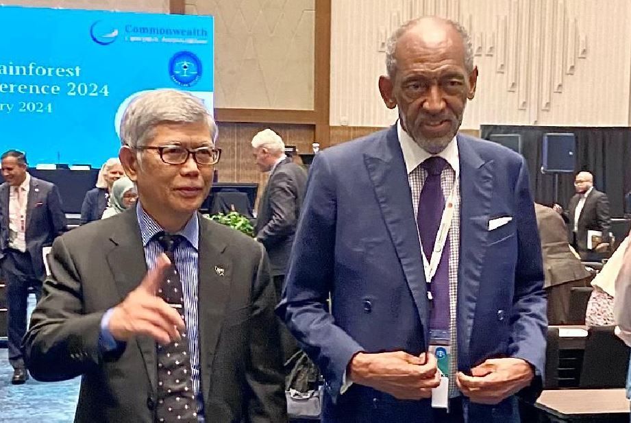 Shortcomings in environmental laws must be addressed, says Justice ...