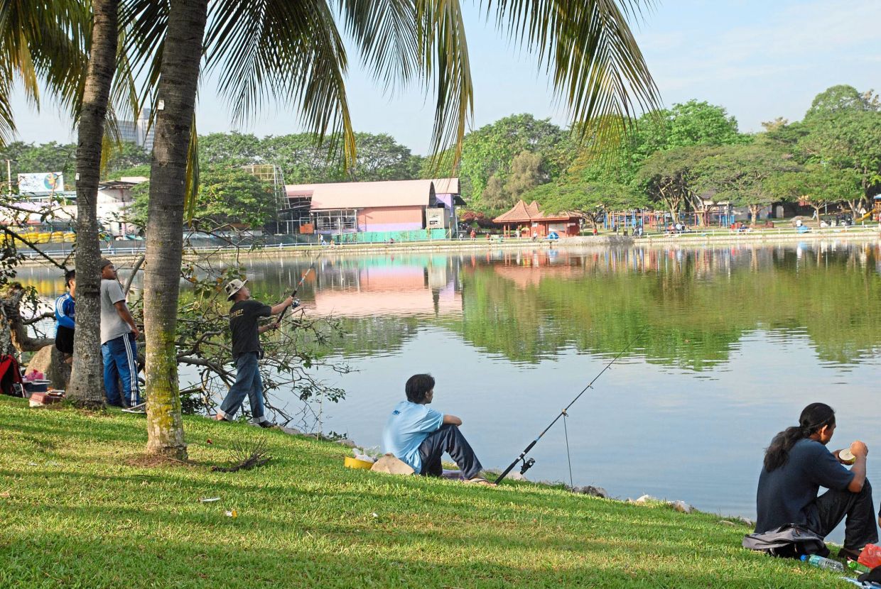 Fishing in public parks and old ponds offers excitement and relaxation ...