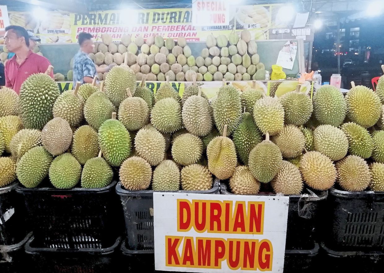 Efforts to raise durian yield in Batu Kurau | The Star