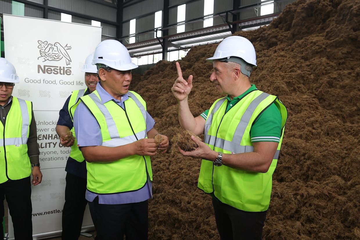 Nestle Malaysia commissions RM18mil biomass boiler at Chembong complex ...