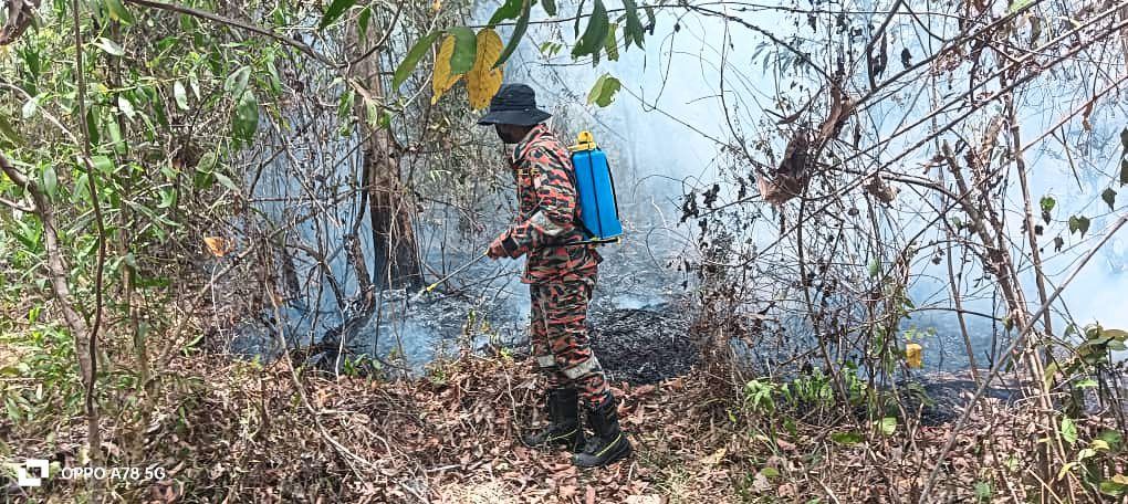 Stamping out Sabah fires | The Star