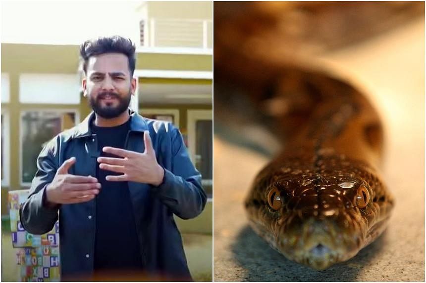 Indian YouTuber who allegedly provided snake venom at dance party ...