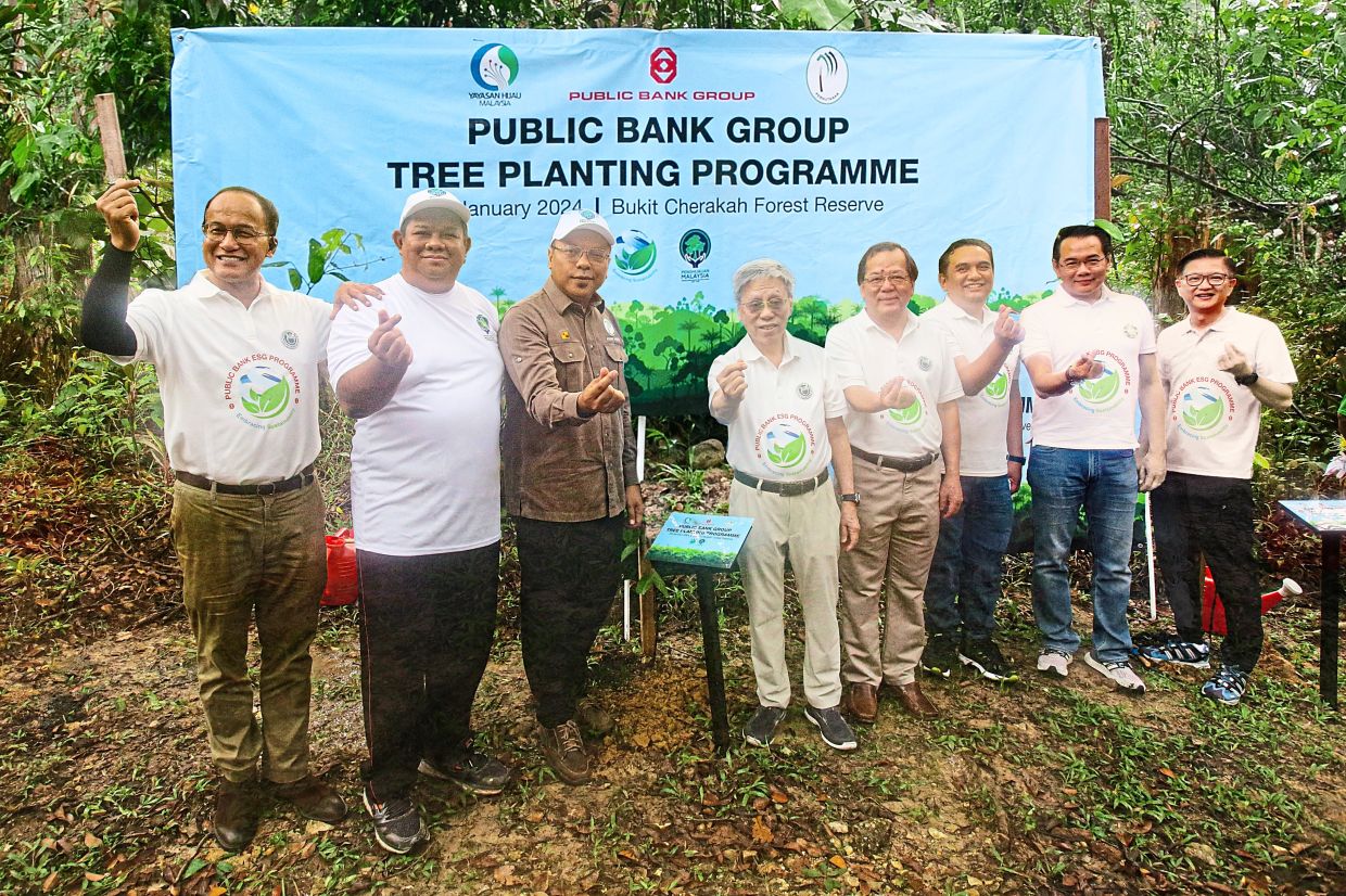 Bank joins trust and forestry department to plant 1,000 trees | The Star