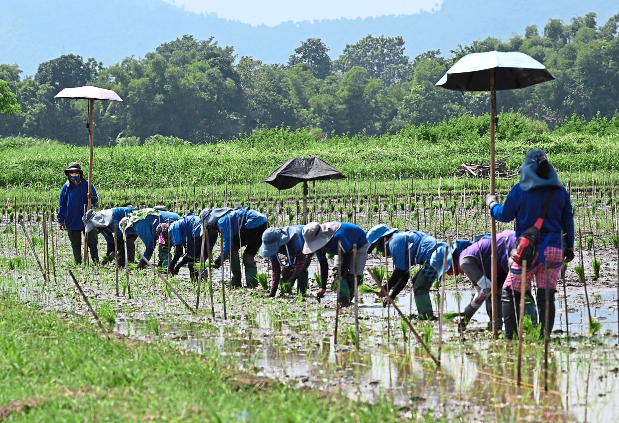 Failed modernisation in the Philippines
