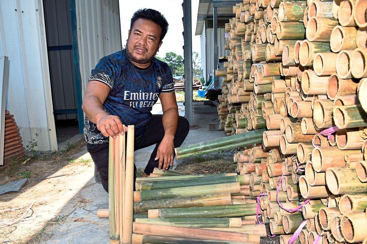 Brisk business for bamboo this year | The Star