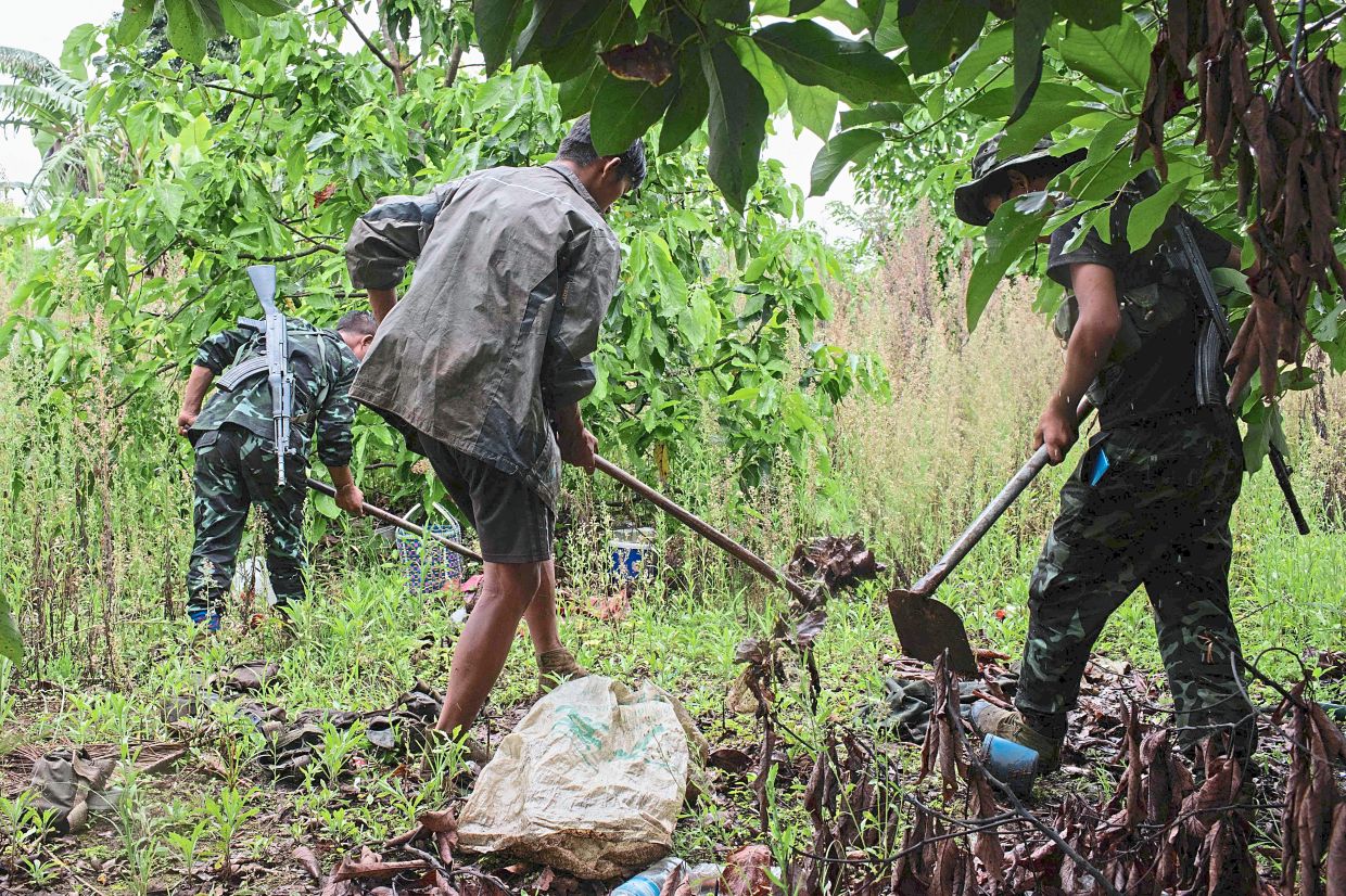 UN: Myanmar landmine, unexploded ordnance casualties nearly triple ...