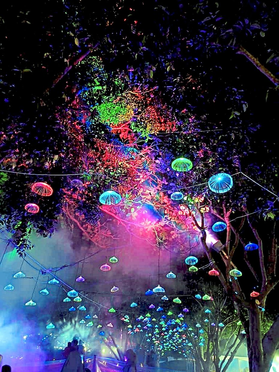 Enchanting lights illuminate park | The Star