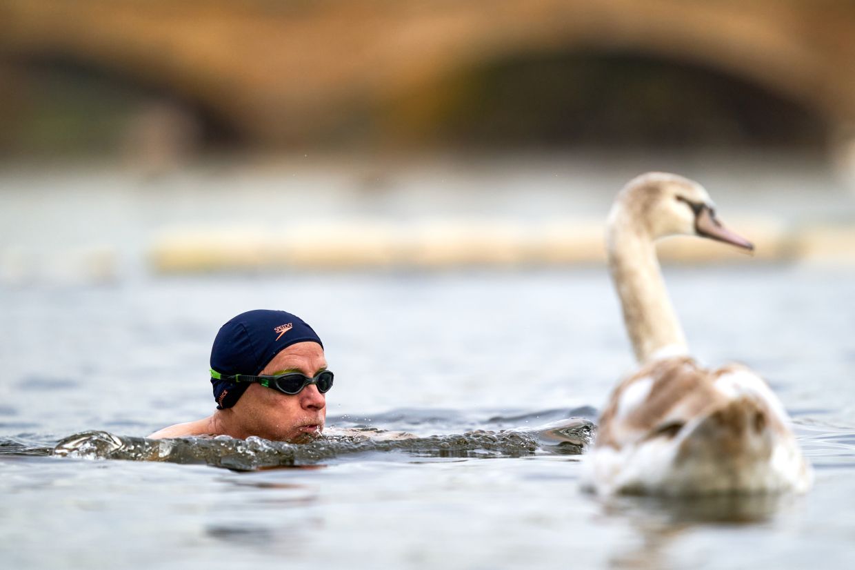 Study wants to probe if outdoor swimming can reduce depression symptoms | The Star