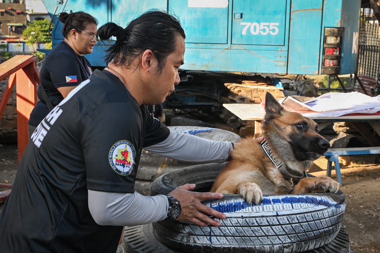 Philippines trains pet dogs for search and rescue | The Star